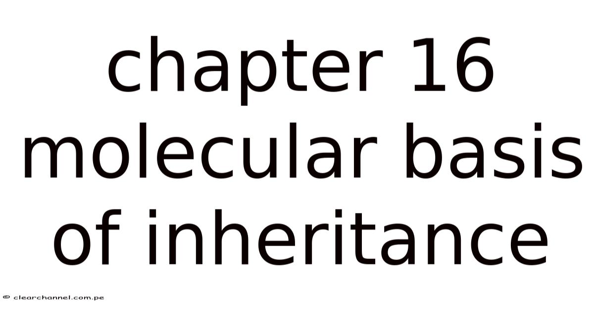 Chapter 16 Molecular Basis Of Inheritance